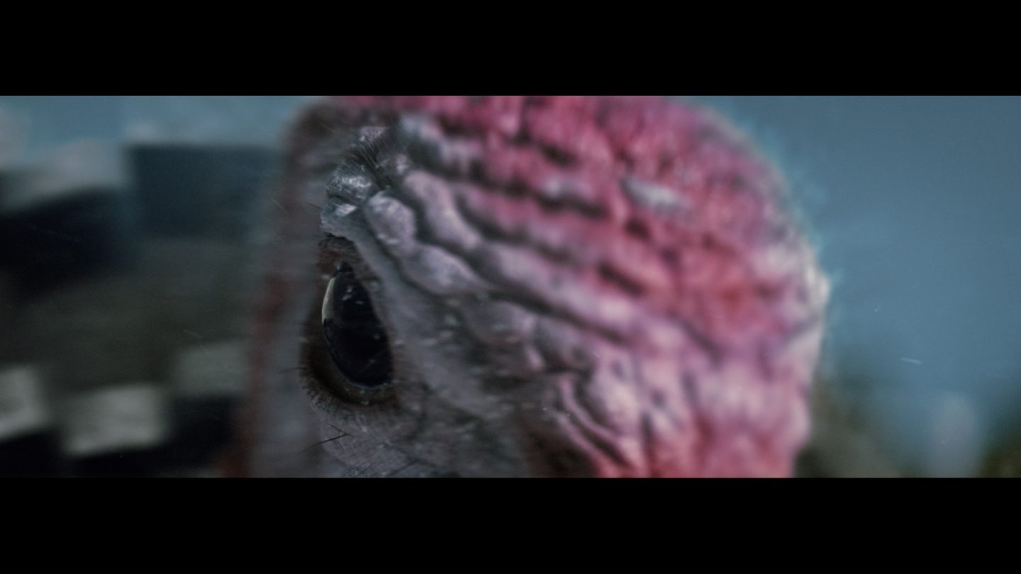 KFC - Crossroads - 1920vfx